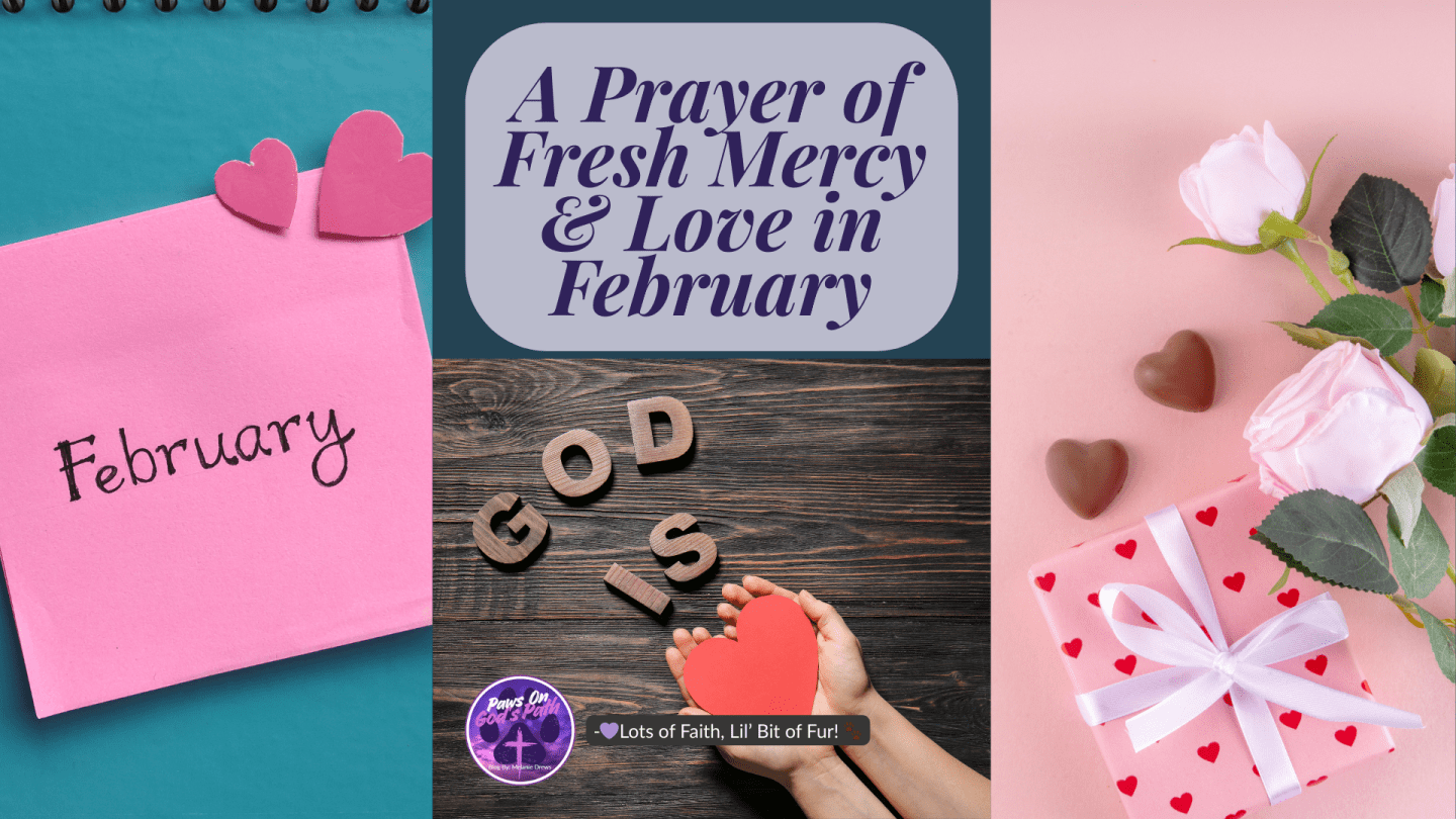 A Prayer of Fresh Mercy and Love in February – Paws on God's Path
